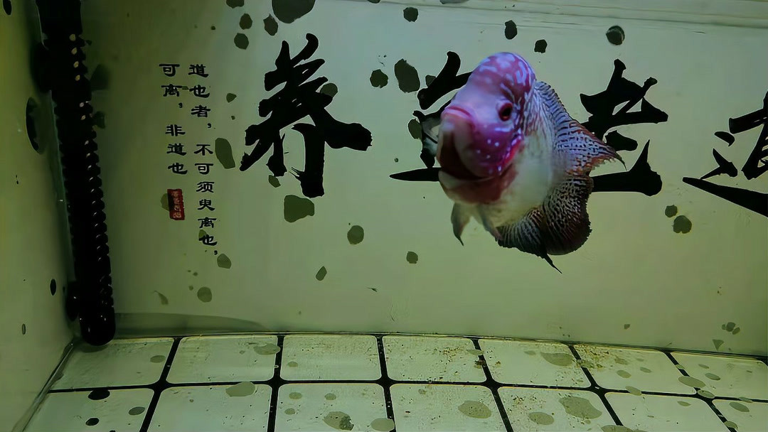 使用了三四个月的加热管,看看上面有多少水垢?很多了