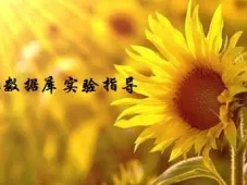 云飘课堂-access数据库实验课本p149-151, 实验9.2 设计数据库信任位置