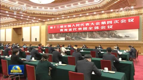 习近平在参加青海代表团审议时强调 坚定不移走高质量发展之路