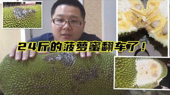 拼多多买了个24斤的菠萝蜜!开箱!翻车警告!~