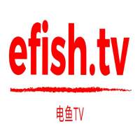 电鱼TV 