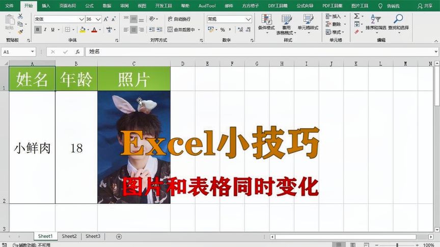 excel小技巧:图片和表格同时变化,升职加薪系列