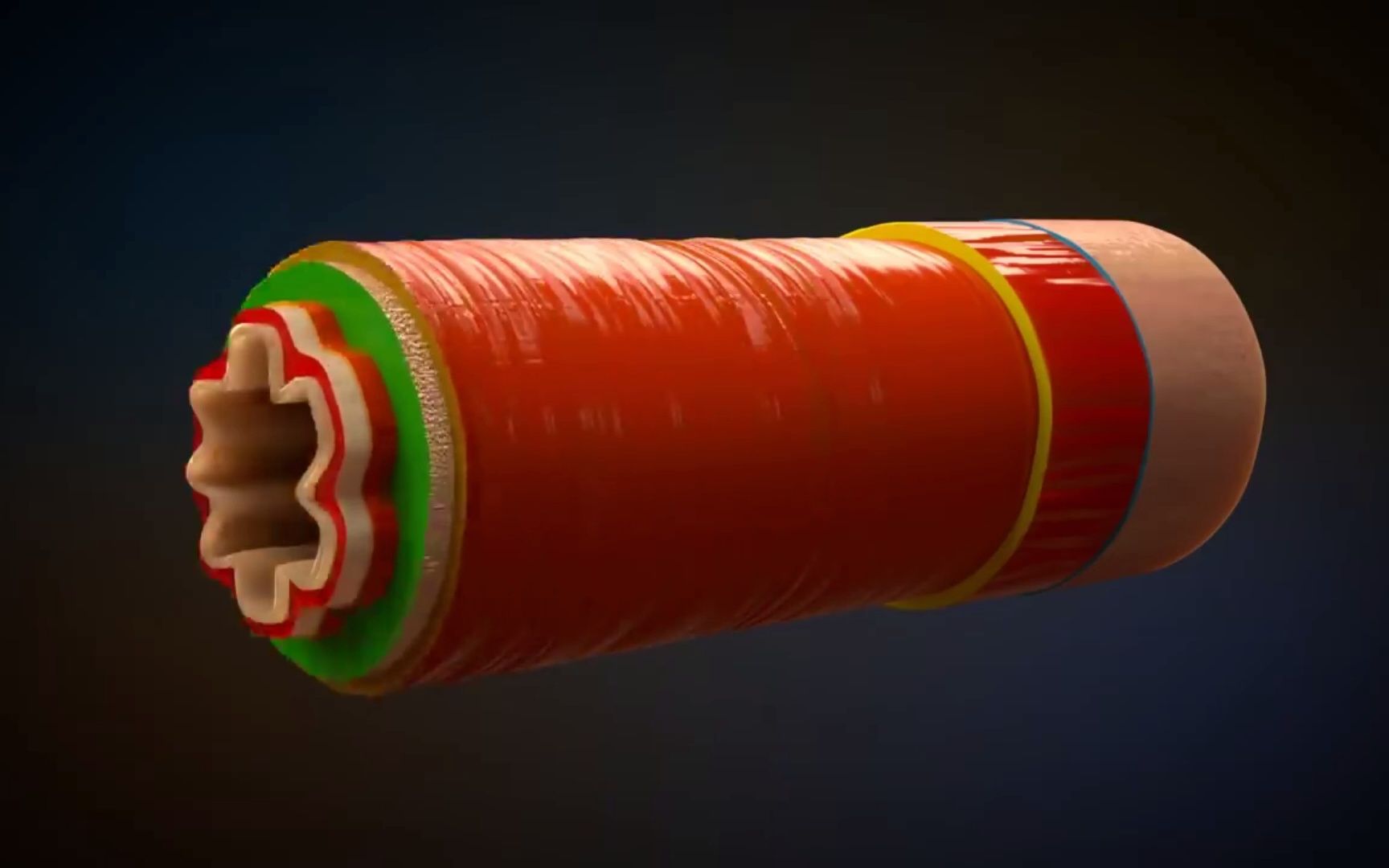 【中英字幕】消化系统是如何工作的