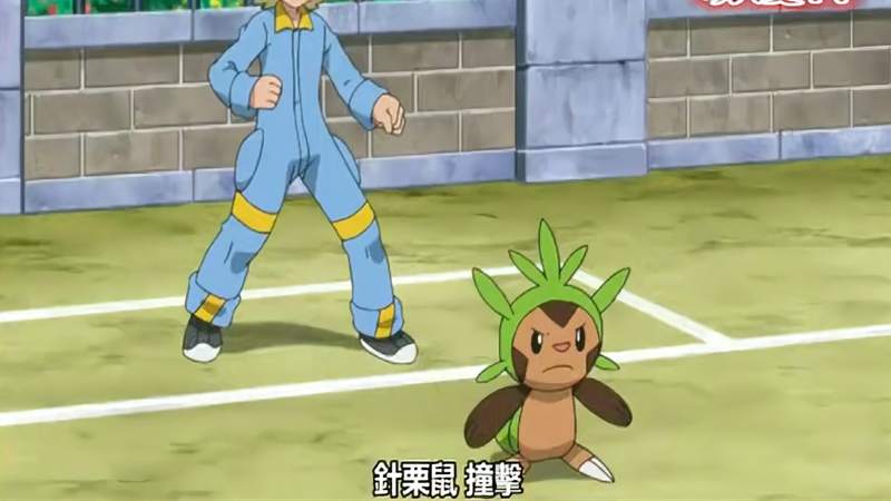 宝贝:小智遇到萌系皮丘,皮卡丘的血亲?