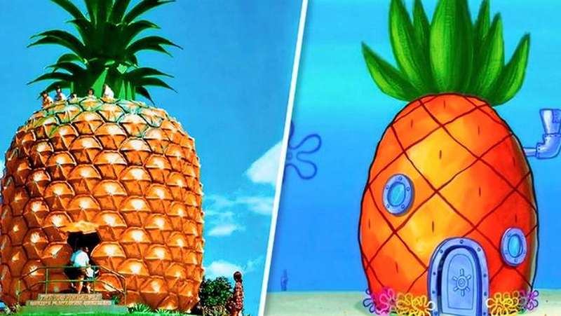海绵宝宝的菠萝屋真的存在?这种房子我爱了!
