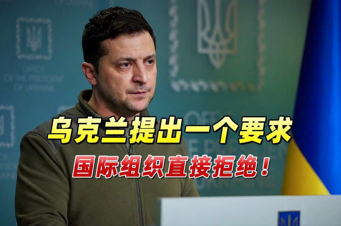 想让俄罗斯从网上消失?乌克兰提出这个要求,国际组织直接拒绝