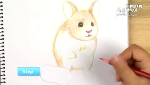 如何用彩色铅笔画小仓鼠