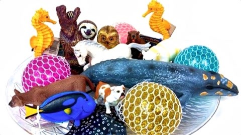 大大轮船和彩色海洋动物模型玩具