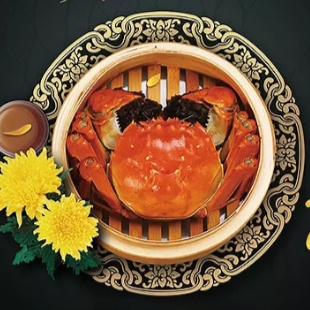 创新策划 