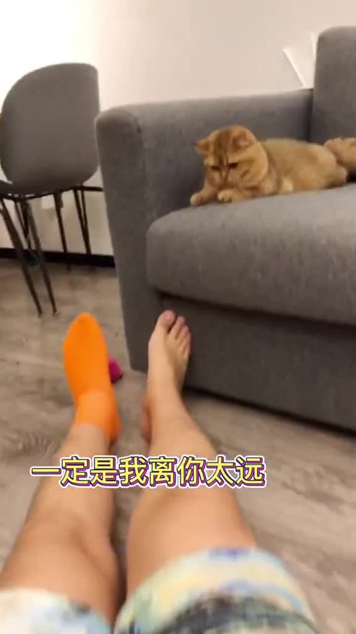 坐在轮椅上发的这条视频