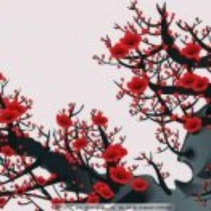 教学视频交流分享学习 