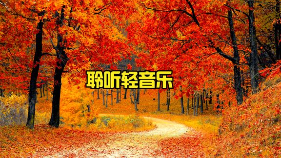 【轻音乐】愿你在自己存在的当地,成为一束光,照亮世界的一角