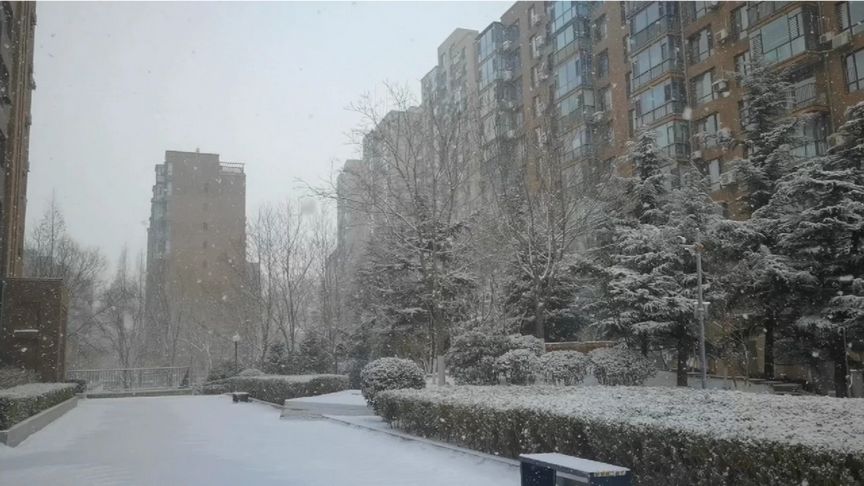 2021年的第一场雪