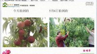 果树栽培技术桃现场观摩会回顾总结(果农乐第118期)