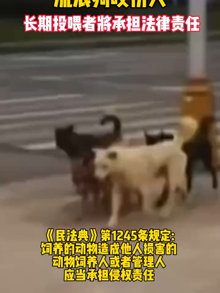 流浪狗咬伤人长期投喂者将承担法律责任