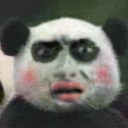 飘飘游戏解说视频 