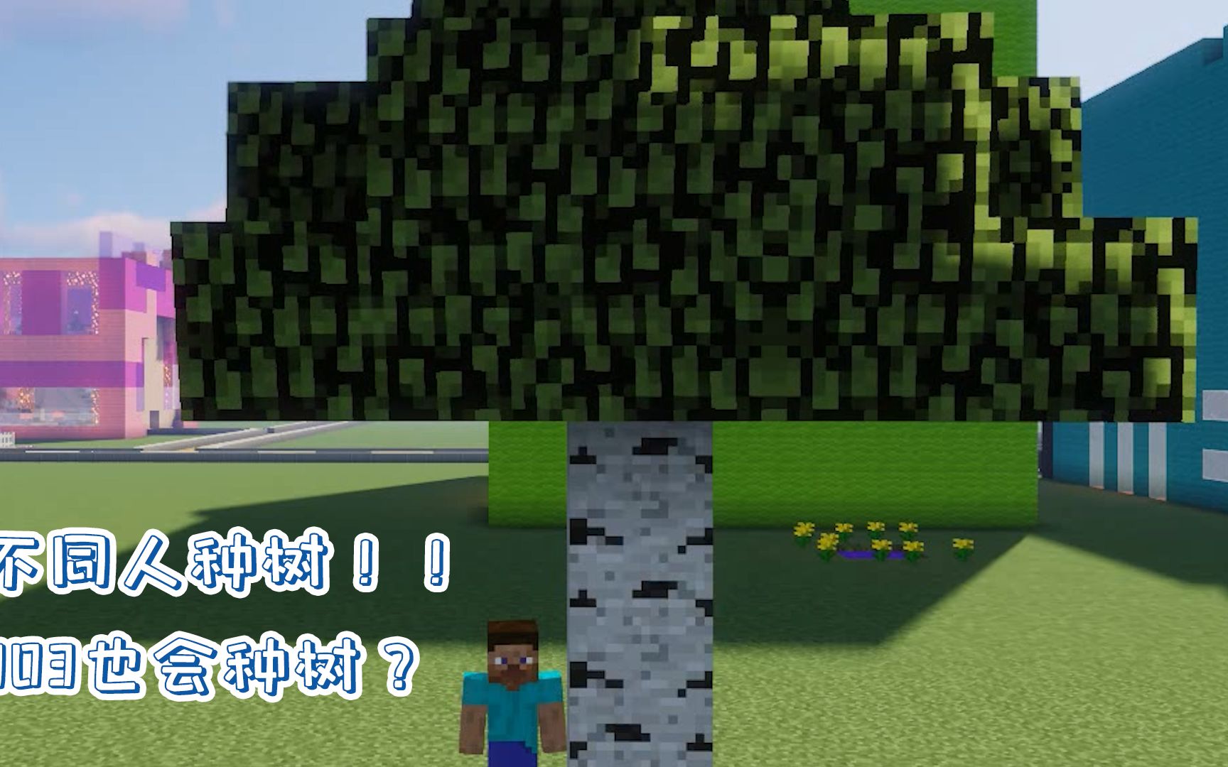 我的世界:不同人种树