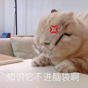 月神yyds 