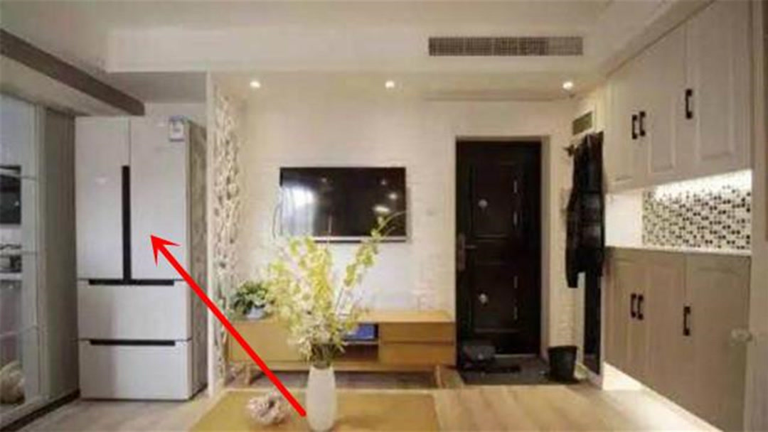 你家冰箱放在厨房还是客厅?原来还有这个讲究,现在知道还不晚