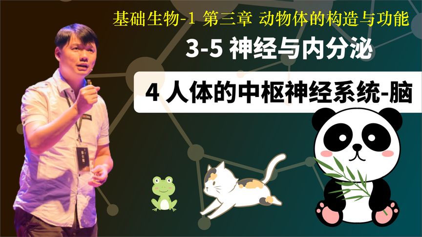 基础生物学3-5.4 人体的中枢神经系统-脑
