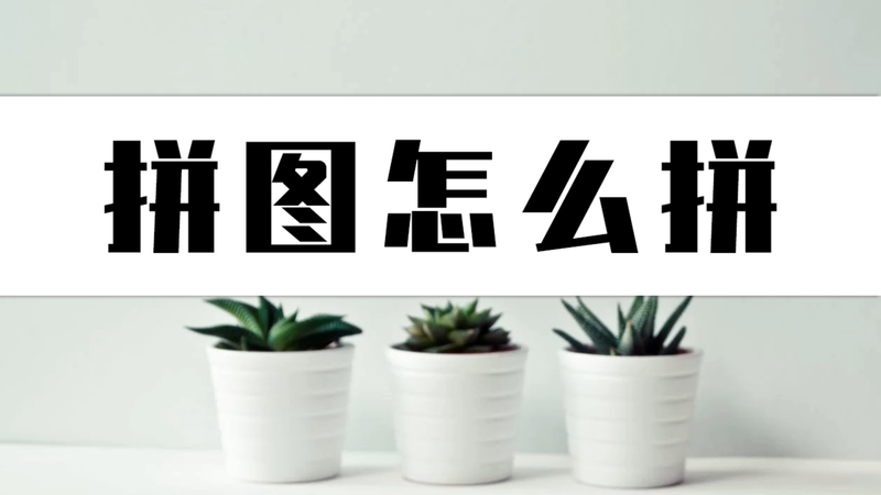 拼图怎么拼?简单的拼图技巧快快学起