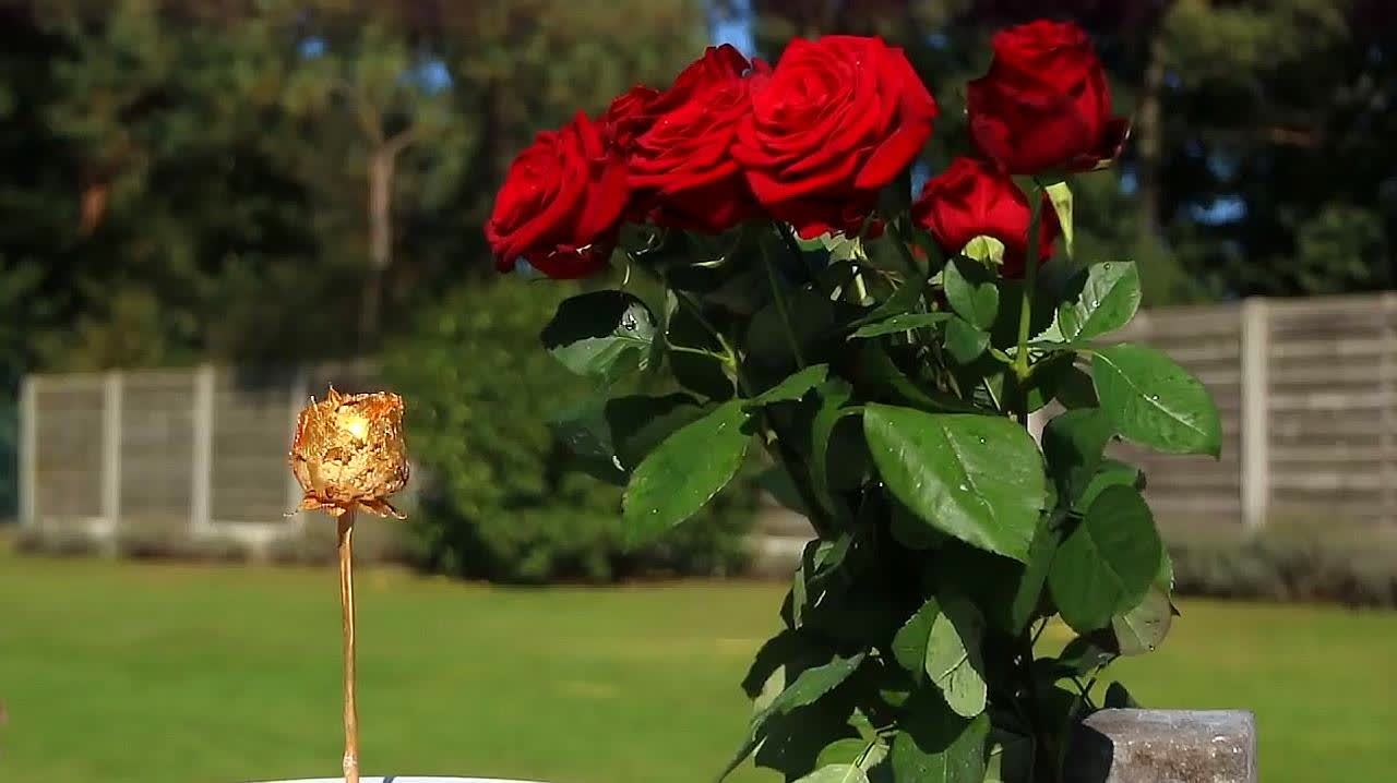 土豪用黄金给玫瑰花倒模,看着浪漫又大气!