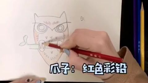 #广州金丝带 今天志愿者林丹姐姐教大家画简笔猫头鹰ߦ