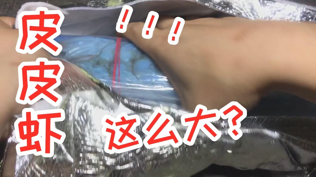 网购开箱1只“皮皮虾”,对比后有点惊人,体形很霸气!