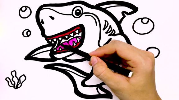 你觉我画的这只鲨鱼真实吗?