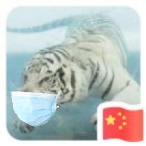 bili_86899246761 