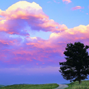 爱闹爱玩的小喵喵 