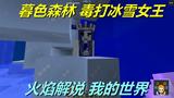 火焰解说 我的世界 模组生存 5724 暮色森林毒打冰雪女王