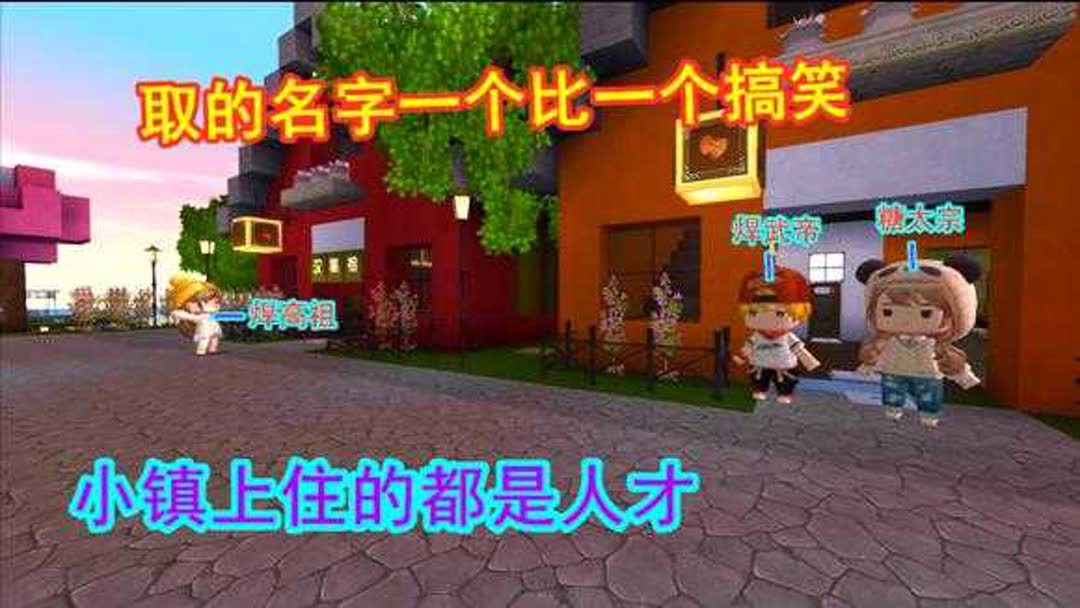 迷你世界:小镇上住的是高手,取名一个高过一个,看到最后笑喷了