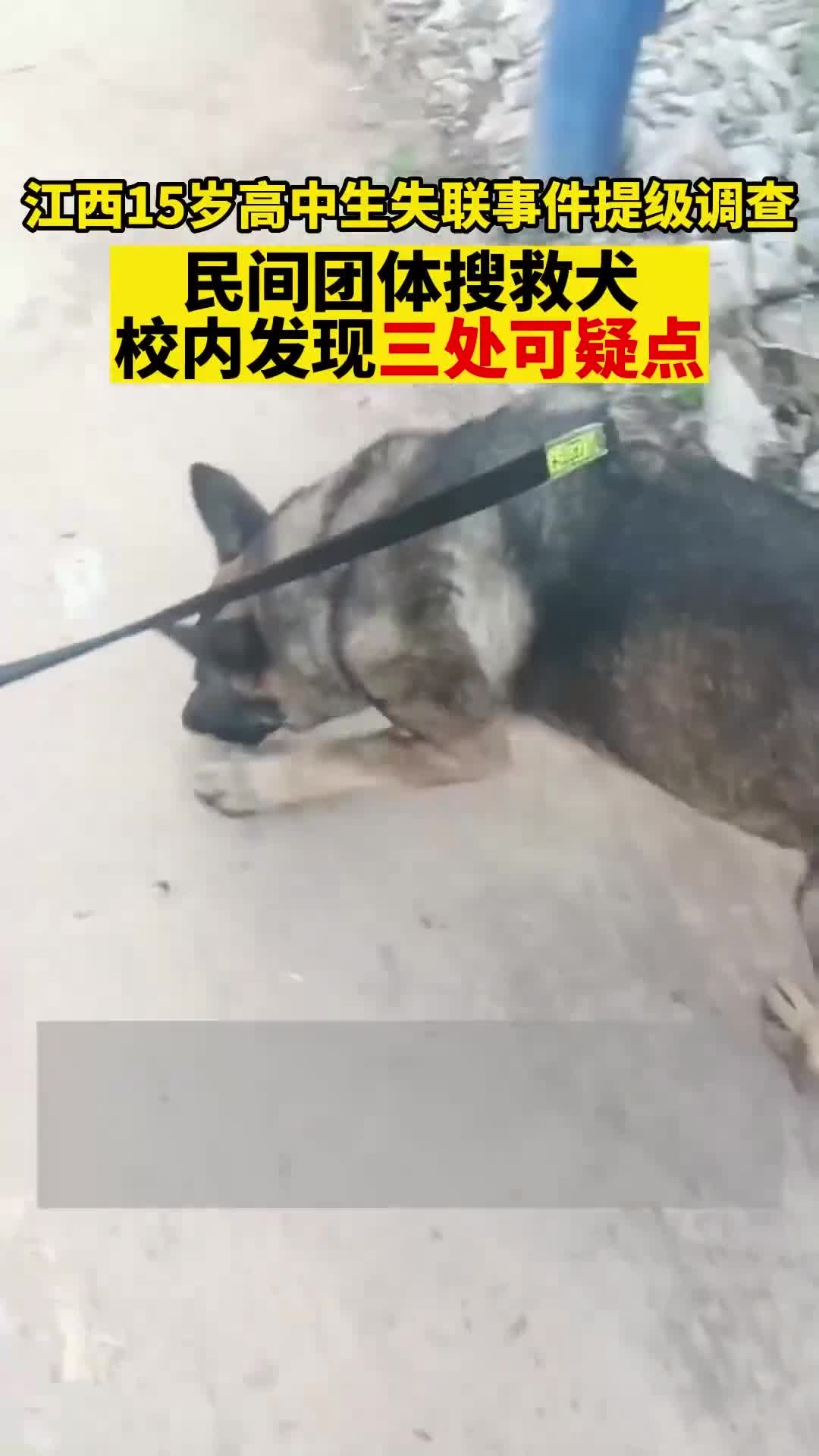 江西15岁高中生失联事件提级调查,民间团体搜救犬校内发现三处可疑点。