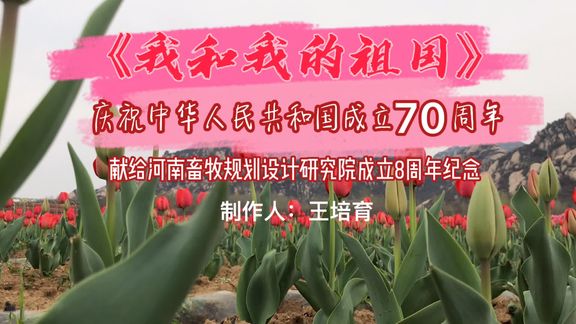 不一样!手机剪辑《我和我的祖国》@今日头条@抖音官方@新浪微博