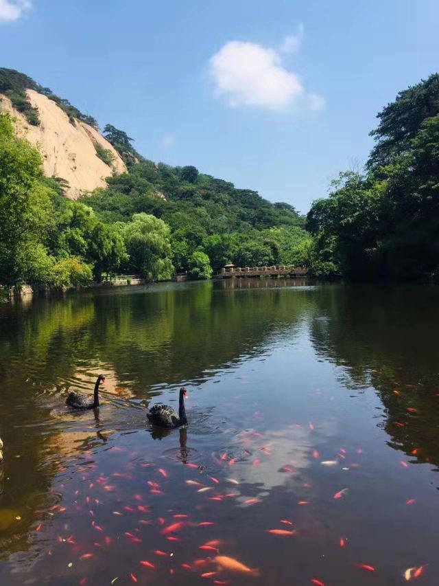 丁丁学语文 