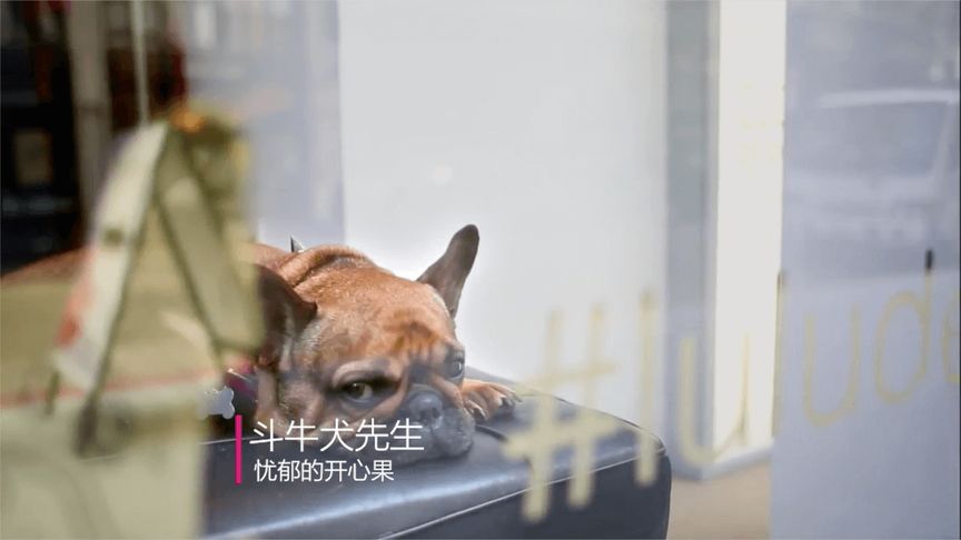 【AE教程】AE 和 PR 动态链接,制作可以方便修改的人名条动画2/2