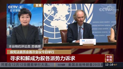 [中国新闻]叙宪法委员会首次会议今日举行 寻求和解成为叙各派势力诉求