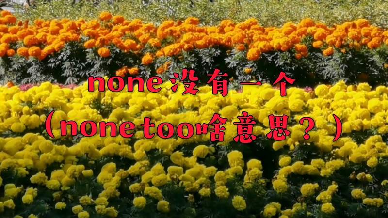 none没有一个(nonetoo啥意思?)