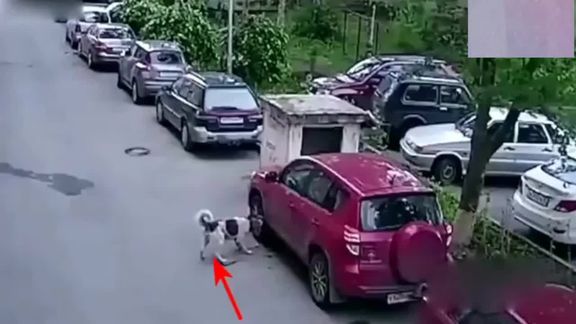 灵异事件:拍下这诡异的画面,车主这是怎么招惹到它了?