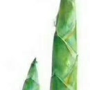爱分享911 