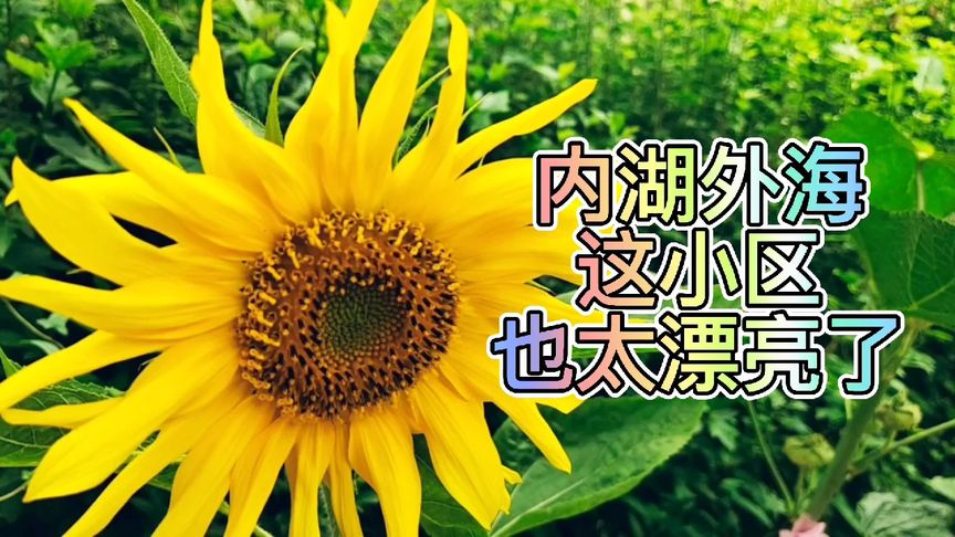 住在这样的小区里也太舒坦了吧!车库上一楼52平1✘!这价不香吗