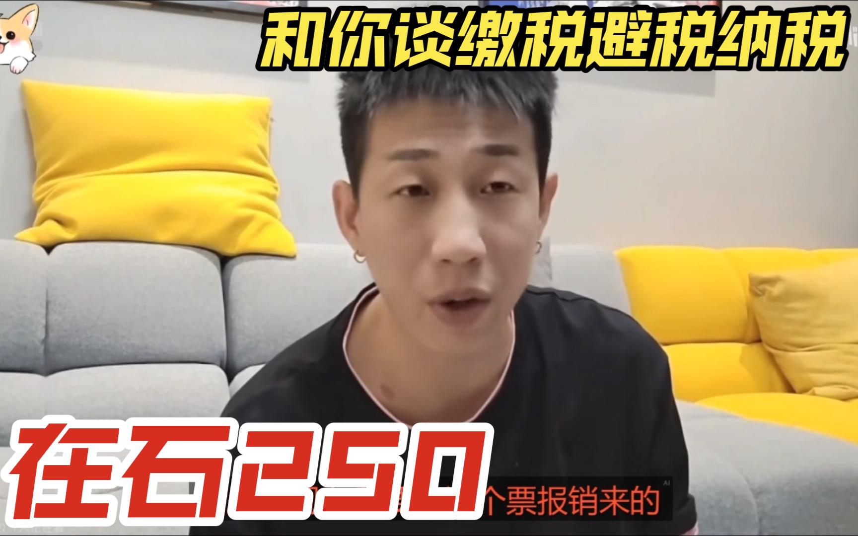 在石250谈避税 缴税 漏税 合理纳税 税税