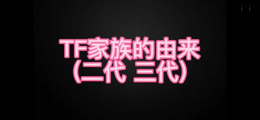 TF家族的由来(二三代)