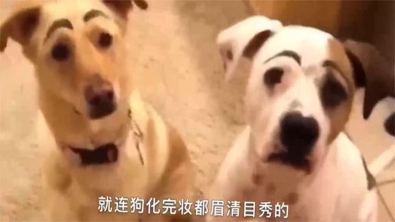 搞笑视频:是这样我们正在颚间桥知音任务,你们这有个井盖的这个