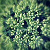 走在自己的热爱里 