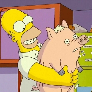 取不来名字嘤嘤嘤-- 