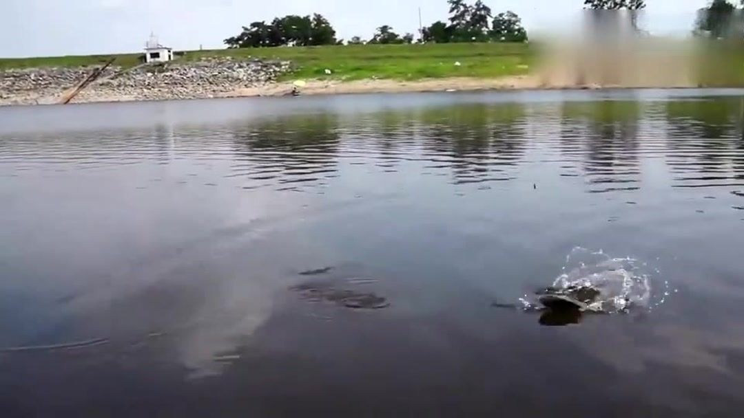 钓鱼的最高境界, 笑看浮漂浮沉