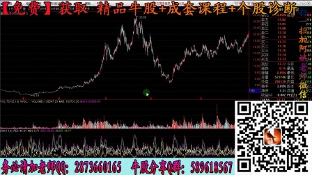 新手炒股入门基础知识 股票入门基础1