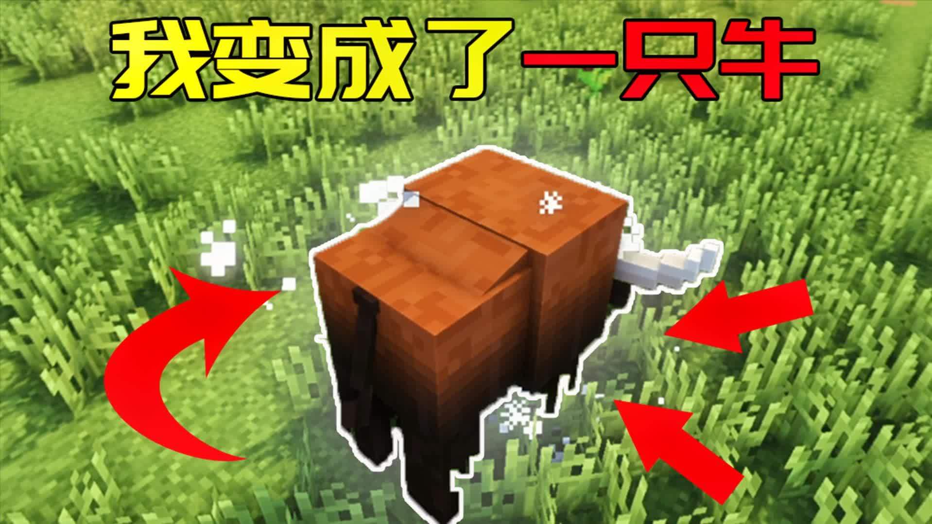 我的世界:我在MC里面变成了一头牛!小振的生活大冒险旅行!